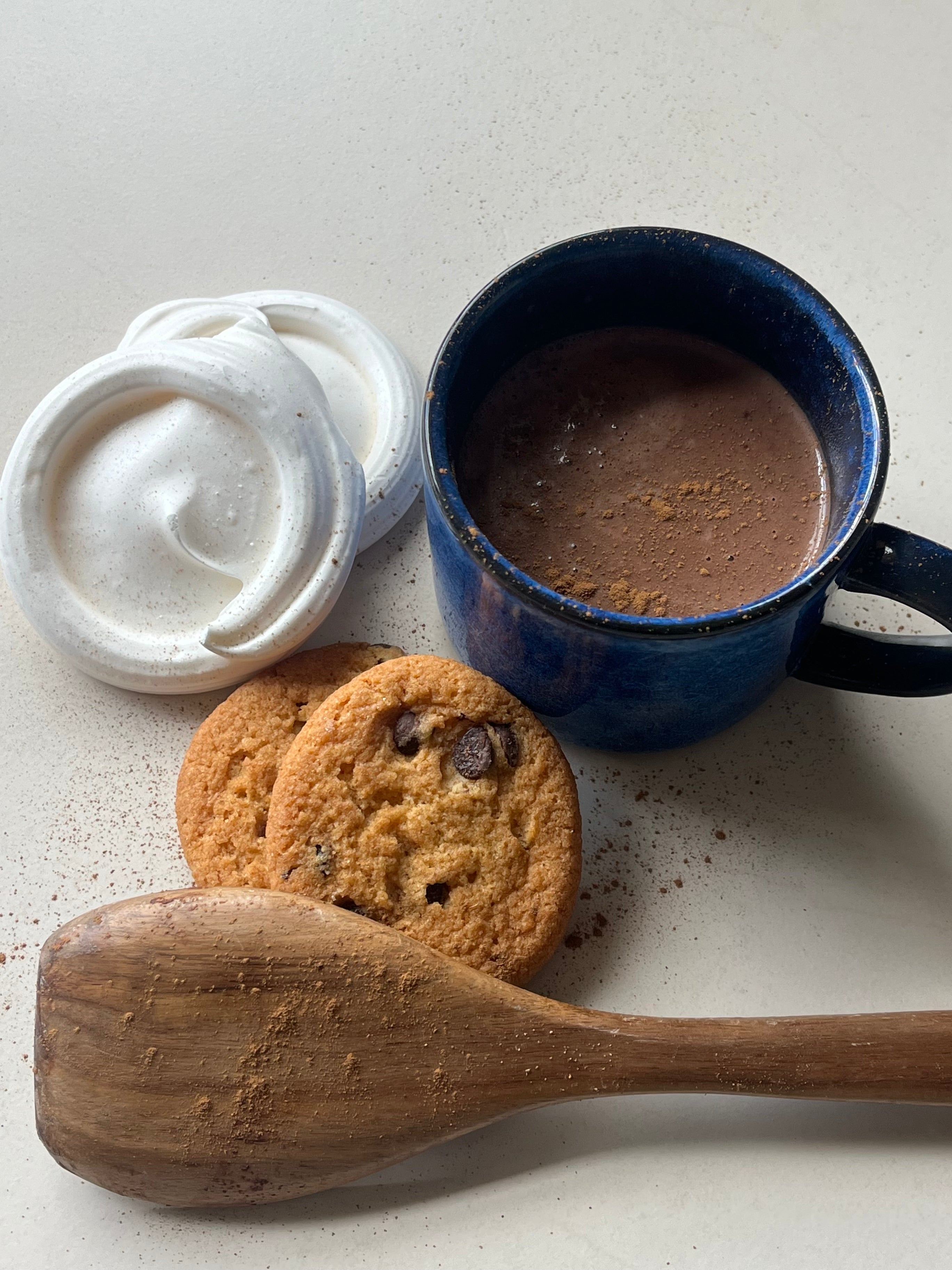 Evening Elixir Spiced Hot Chocolate – WelleCo US