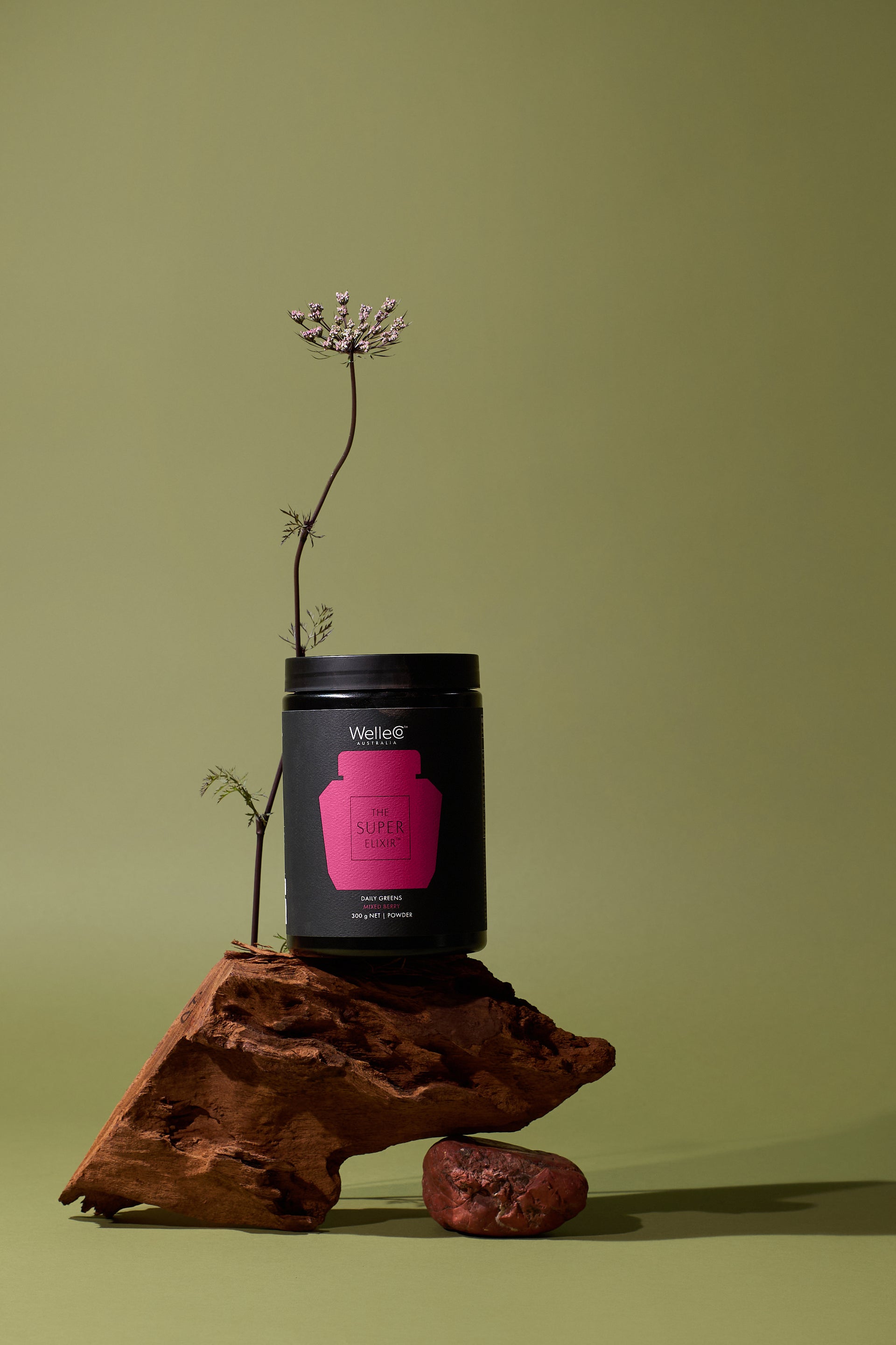 WelleCo US | Beauty and Wellness Supplements