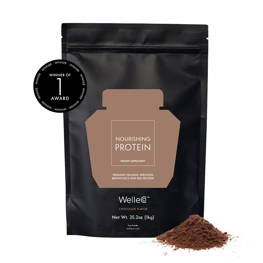 Choc Brownie Protein Balls – WelleCo US